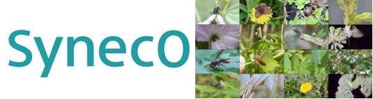 索尼SynecO公司将在厄瓜多尔开展基于增广生态系统的“协生农法”